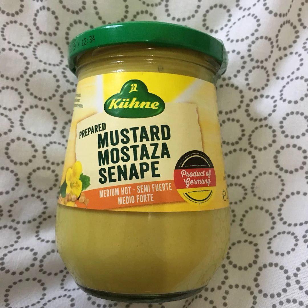 KUHNE Mustard Medium Hot 250 ml | Lazada Indonesia