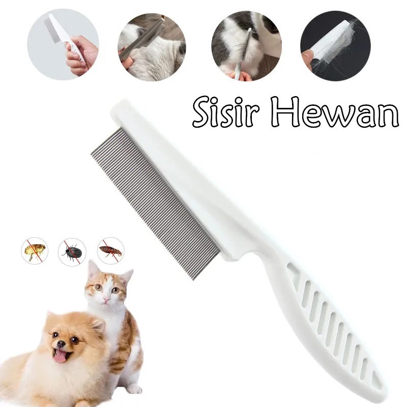 Sisir Kutu Kucing Sisir Kutu Anjing Sisir Kucing Grooming Kucing ...