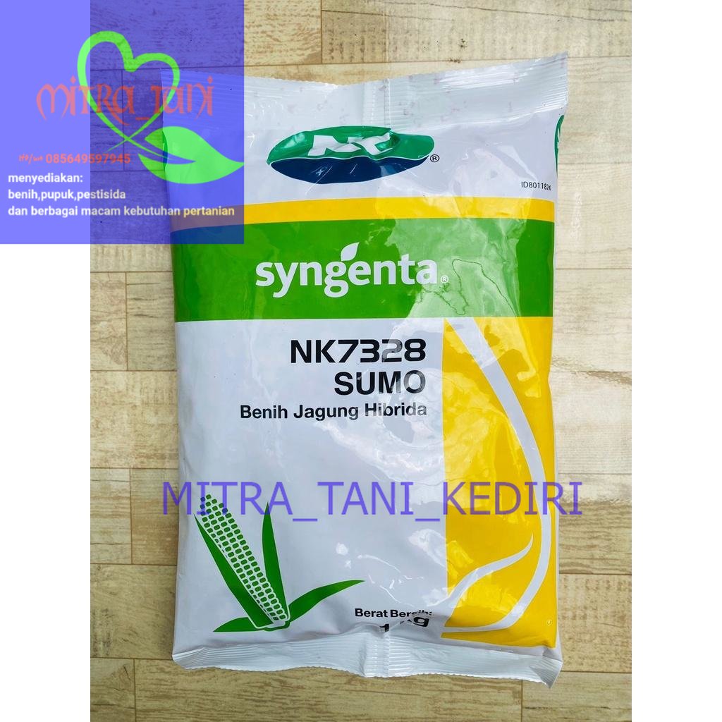 Benih jagung hibrida NK 7328 SUMO isi 1kg dari SYNGENTA | Lazada Indonesia