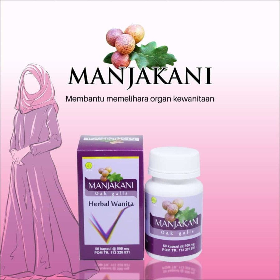 Manjakani / Oak Galls (Herbal Kesehatan Wanita) Toga Nusantara 50 ...