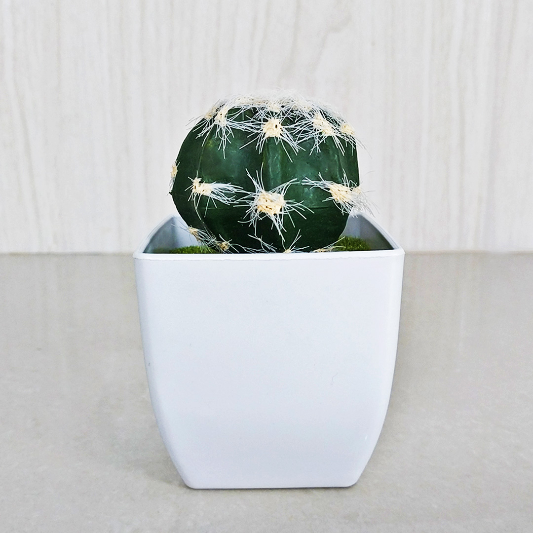 Wolf.id PBP139 Tanaman Hias Artificial Pot Bunga Kaktus Mini Plastik ...