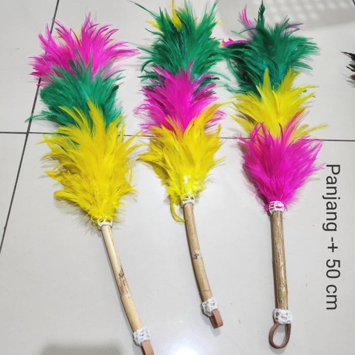 Kemoceng Bulu Ayam PREMIUM RAINBOW WARNA WARNI Asli Bulu Ayam | Lazada ...
