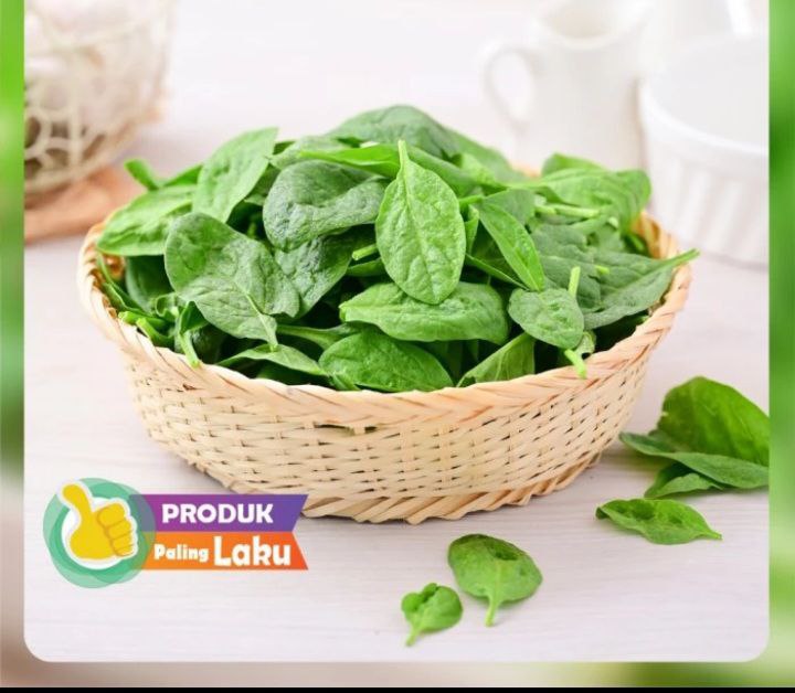 Sayur Baby Spinach Fresh | Lazada Indonesia