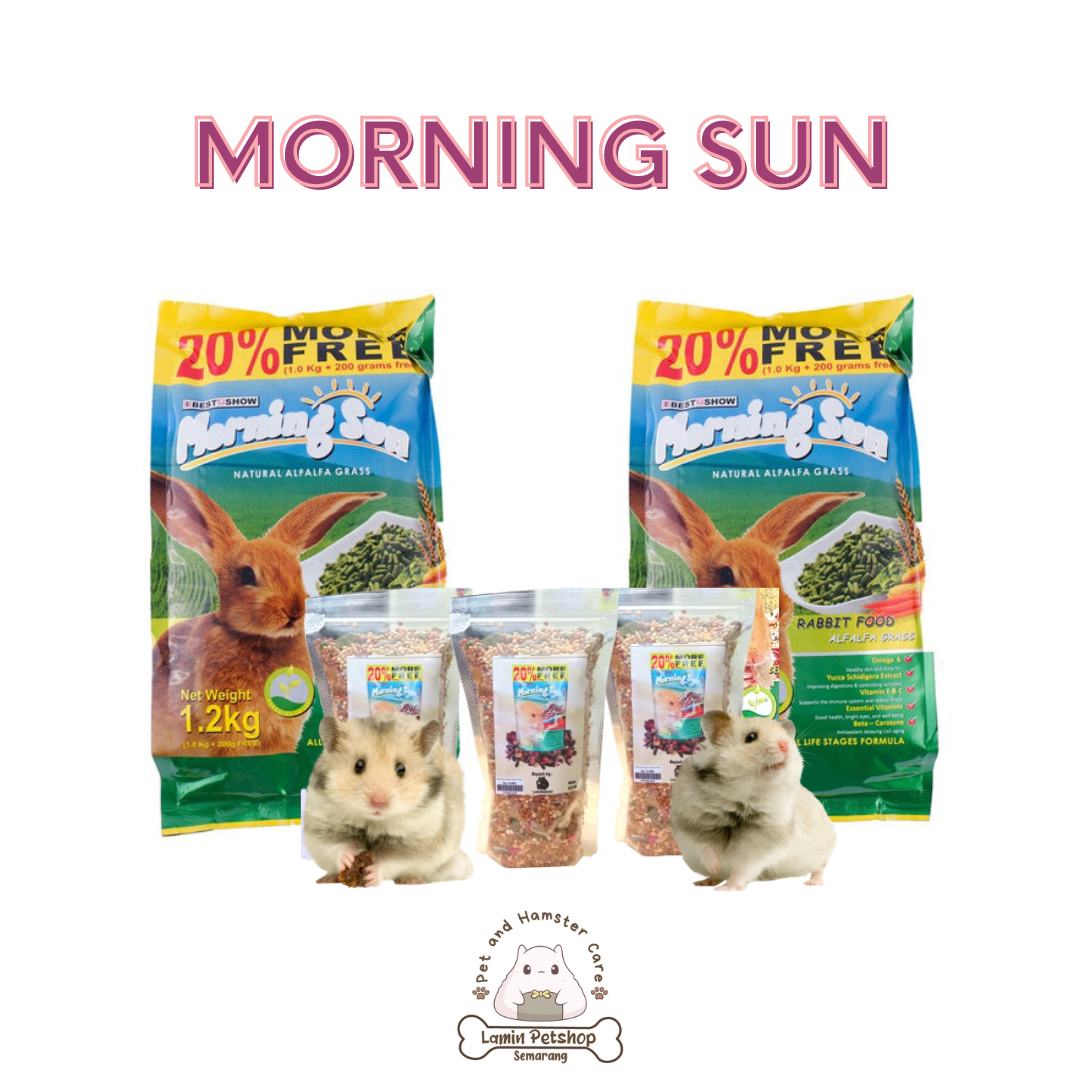 Makanan Hamster Morning Sun | Lazada Indonesia