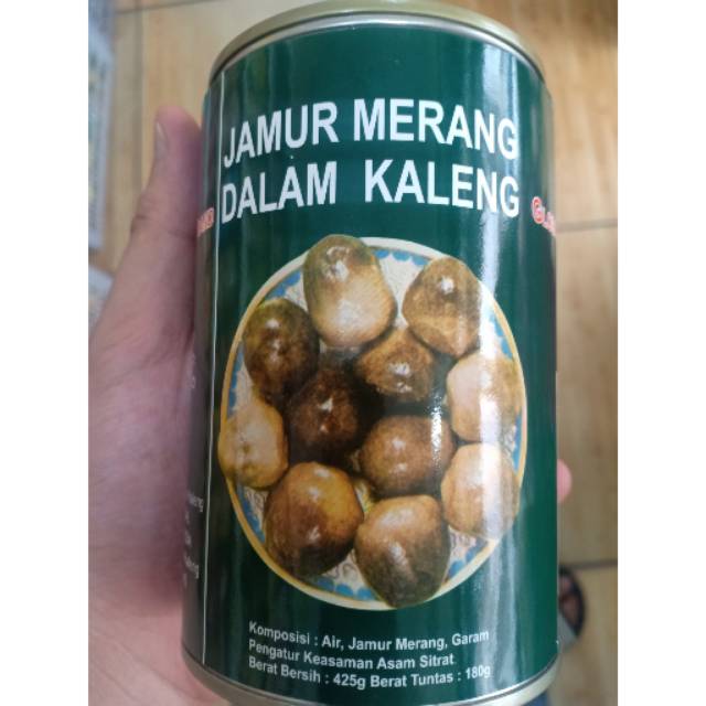 Global Jamur Merang / Straw Mushroom Kaleng | Lazada Indonesia