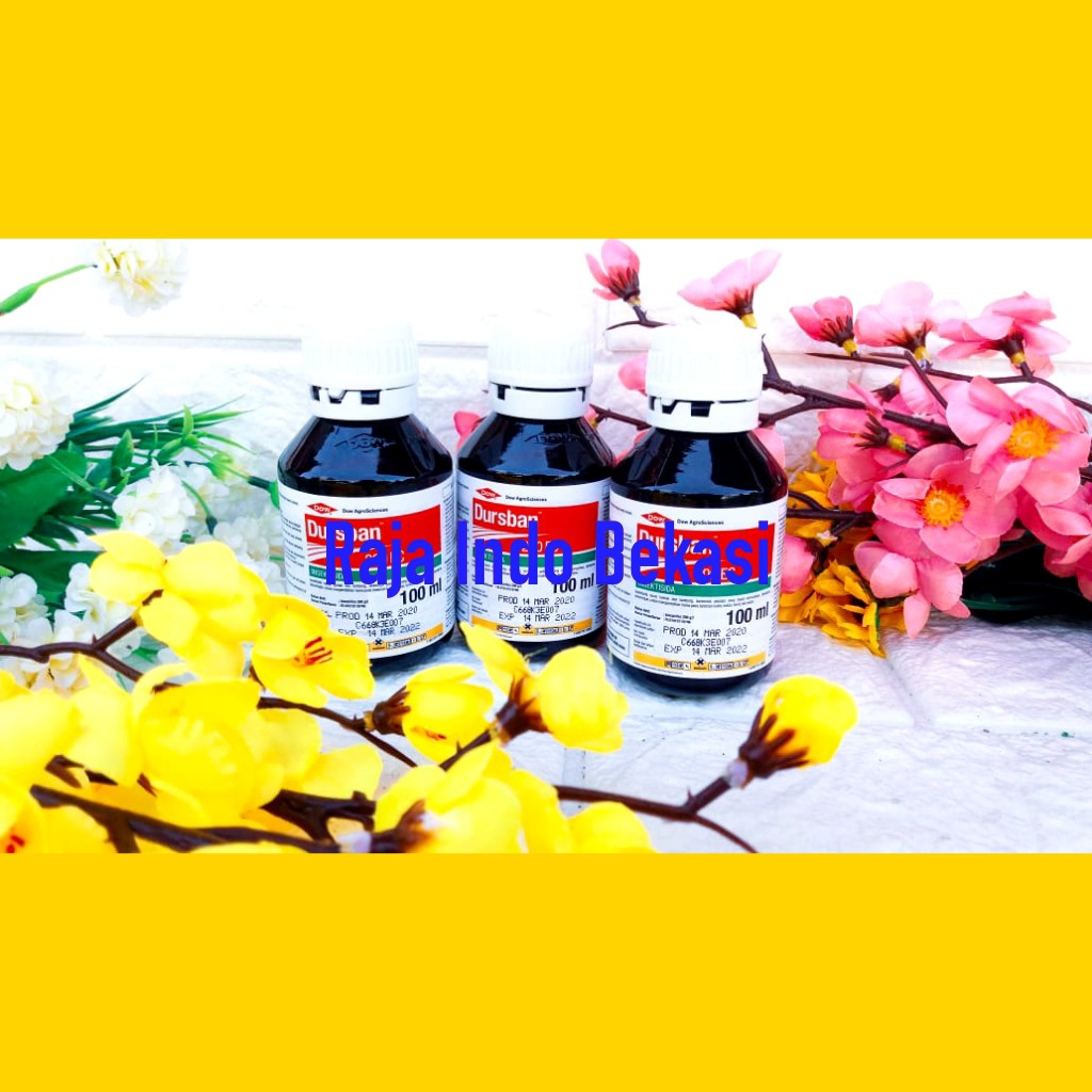 Insektisida Hama Dursban 200ec 100ml Obat Hama Tanam Pembunuh Serangga ...