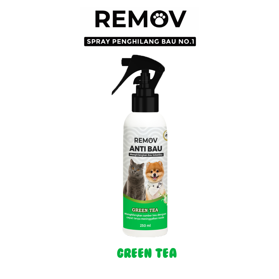 REMOV Spray Penghilang Bau Kotoran Kucing dan Anjing 250ml | Lazada ...