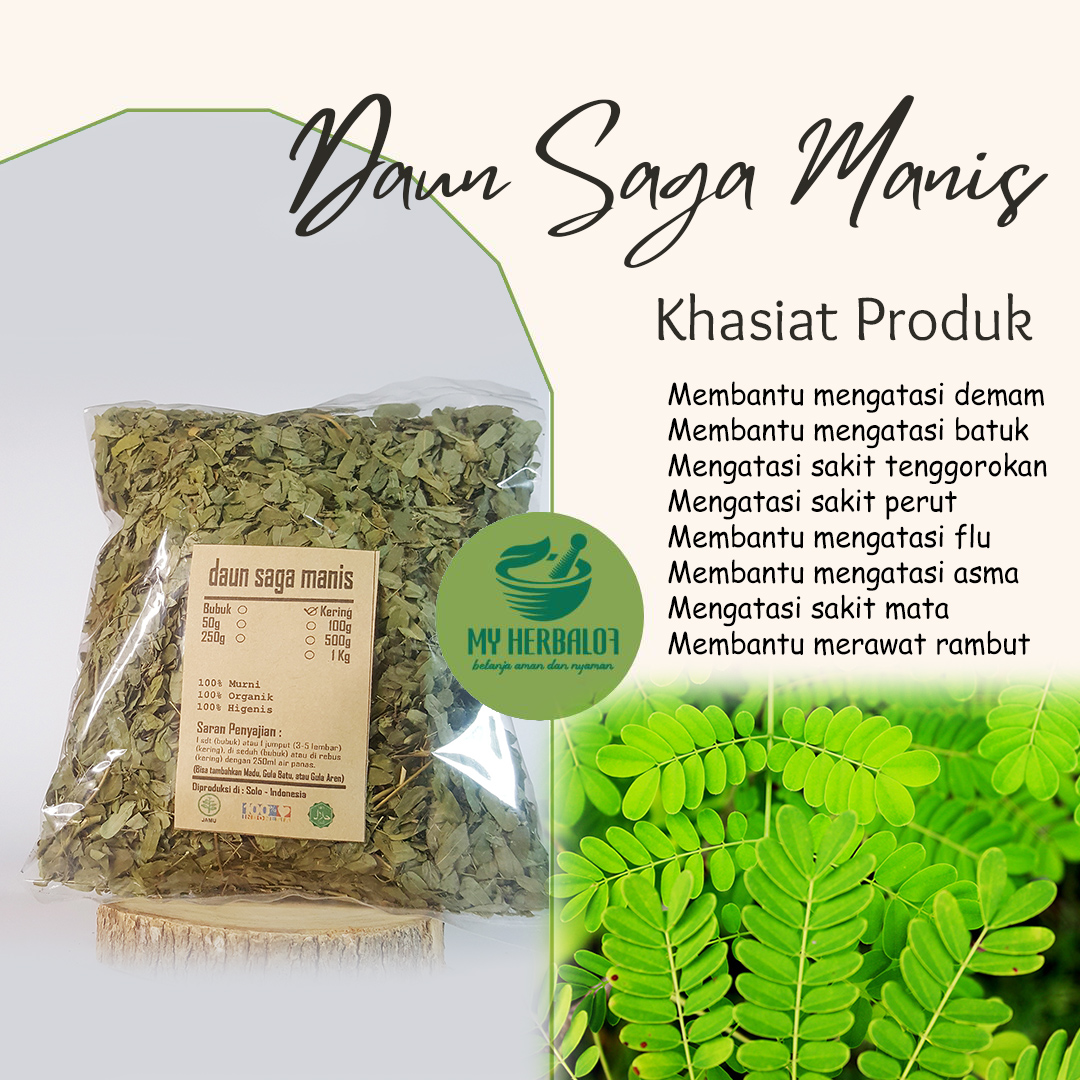 Herbal Daun Saga Manis Kering / Abrus Precatorius | Lazada Indonesia