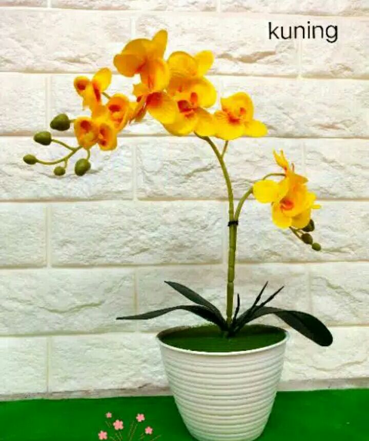 Fitri dekor-bunga angrek bulan lengkap dengan pot tawon hiasan ruang ...