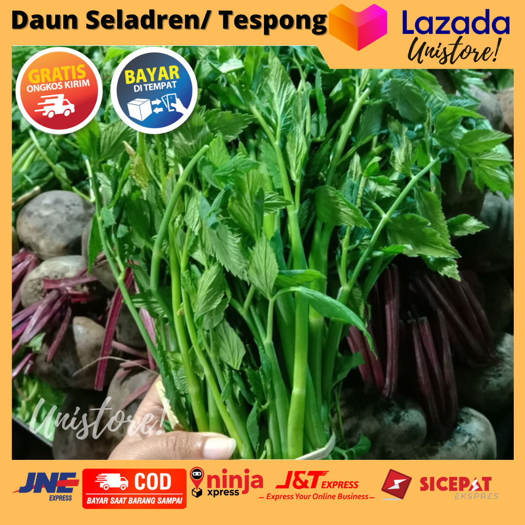 Daun Seladren/ Tespong Segar 500 gram | Lazada Indonesia