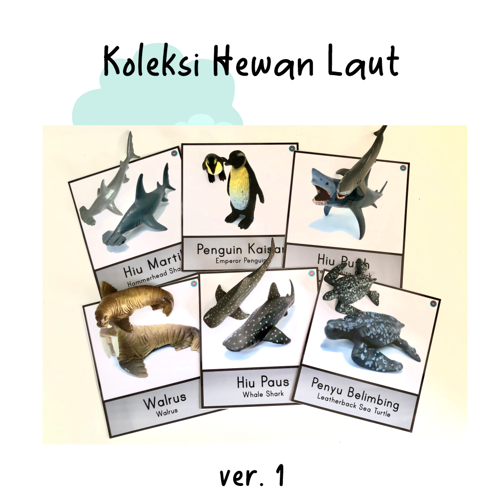 Figurines Macam-macam Hewan Laut Ikan dan Flashcard | Lazada Indonesia