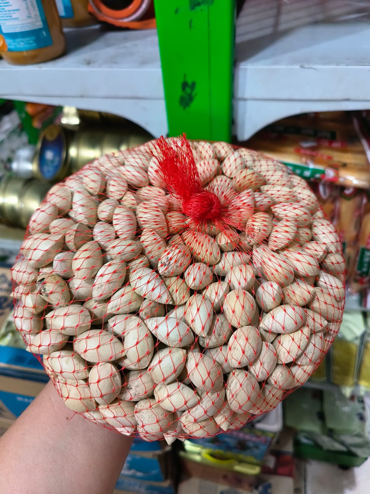 BAI GUO / GINKO BILOBA / PEK KO 500GR / GINKGO NUTS / PEK KOI | Lazada ...