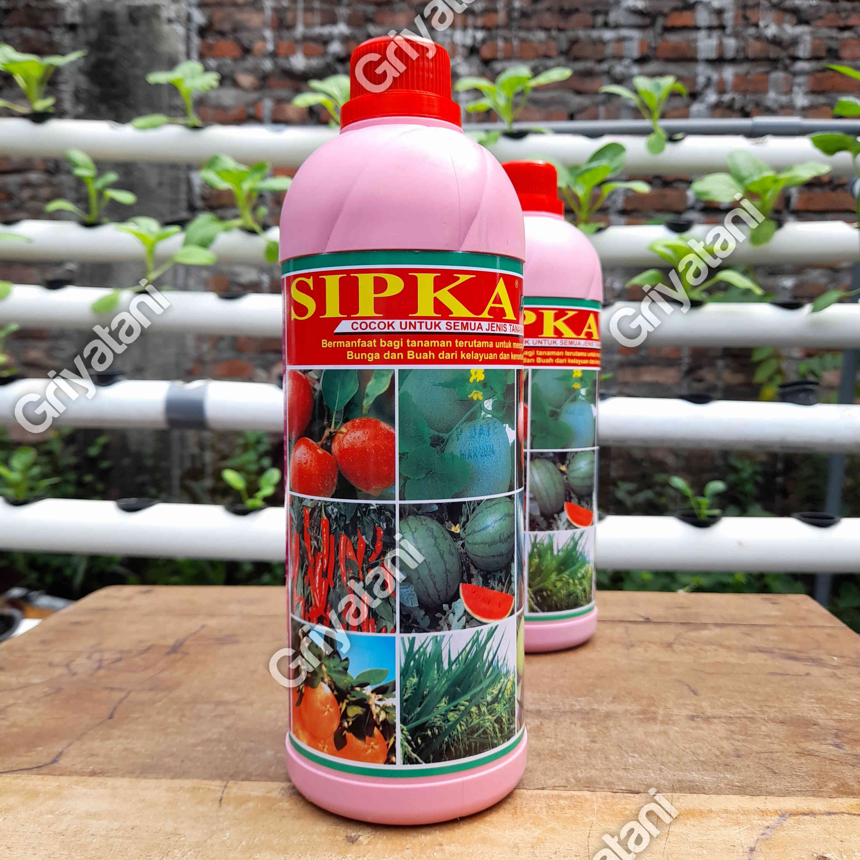 Pupuk Daun Sipka liquid plus zpt 1 Liter superka | Lazada Indonesia
