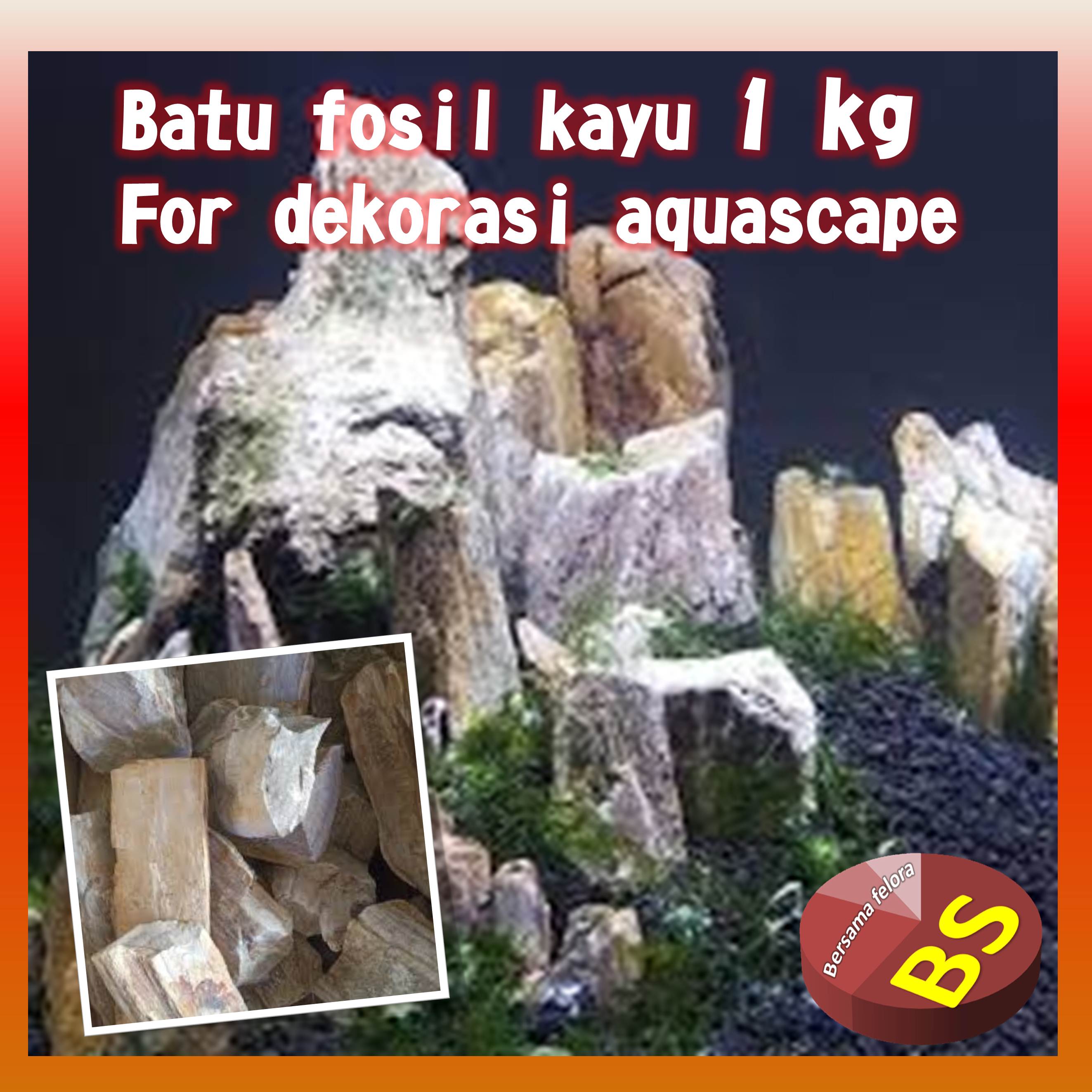 batu fosil kayu untuk aquascape aquarium paludarium 1kg | Lazada Indonesia