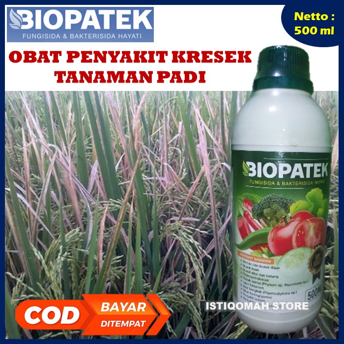 BIOPATEK 500ML Fungisida Hayati Obat Hama Kresek pada Padi - Obat Padi ...