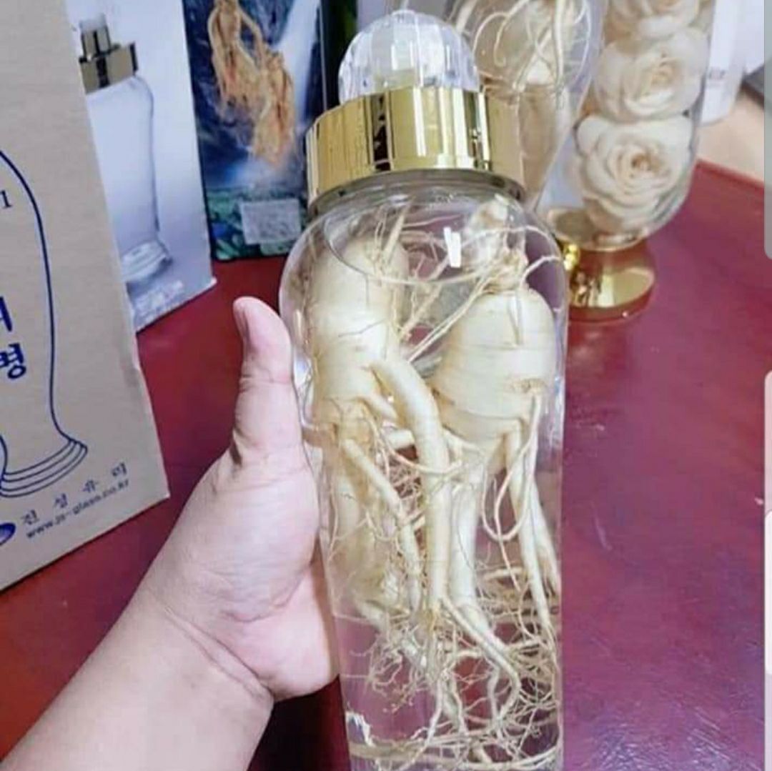 ginseng korea lengkap botol | Lazada Indonesia