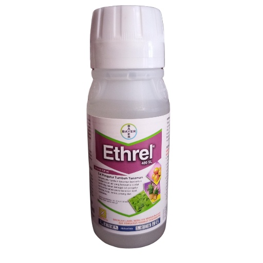 ZPT Ethrel 480 SL kemasan 100 ml | Lazada Indonesia