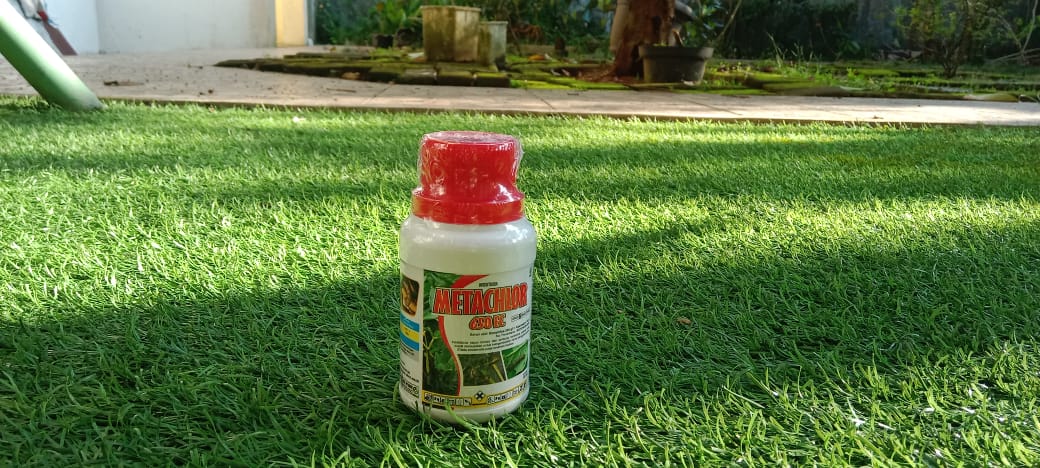 Insektisida Metachlor 650 EC 100ML | Lazada Indonesia
