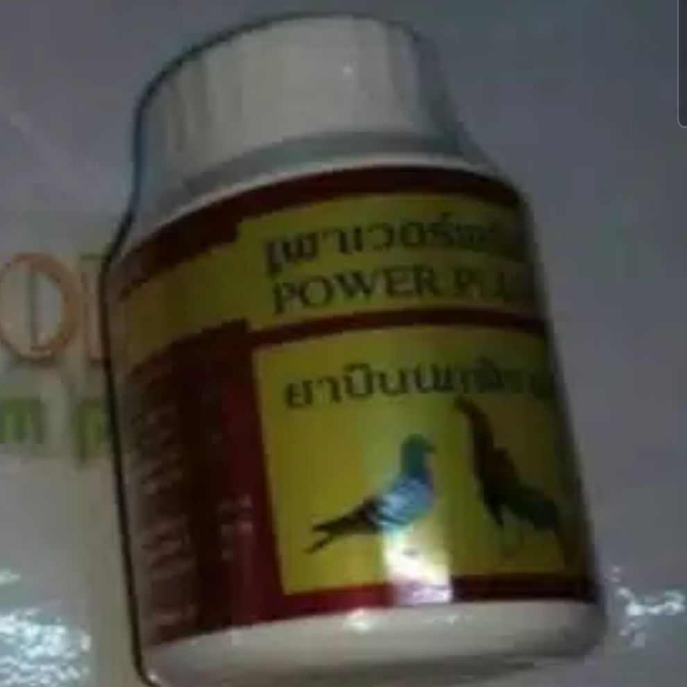 powerplus obat vitamin ayam burung merpati tinggi kolongan doping power ...