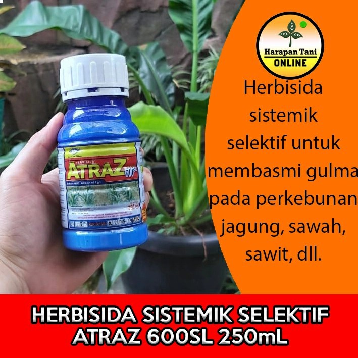 Atraz 600SC 250mL | Herbisida Sistemik Selektif | Perkebunan Jagung ...