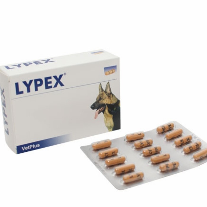 Lypex Vet Plus Kapsul Enzim Anti Diare Kucing Anjing Pankreas - Ecer ...