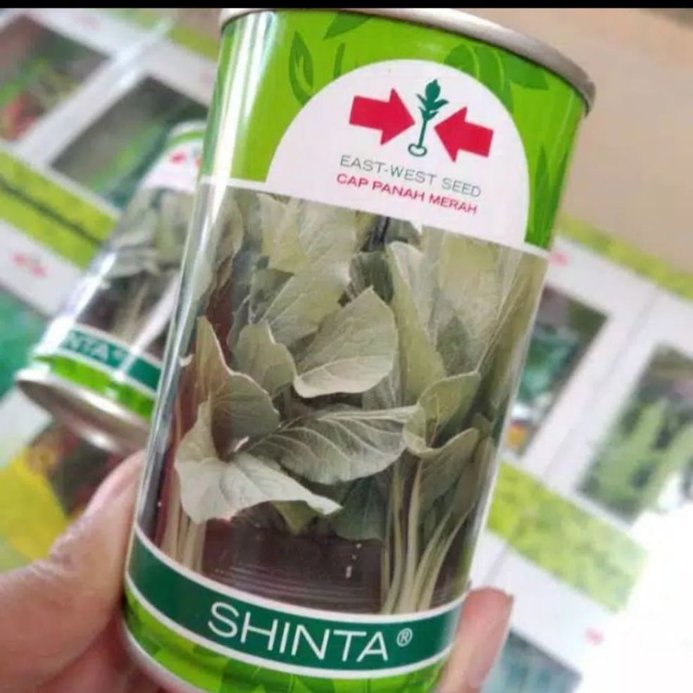 Benih Sawi Caisim Shinta Kaleng 100gr | Lazada Indonesia