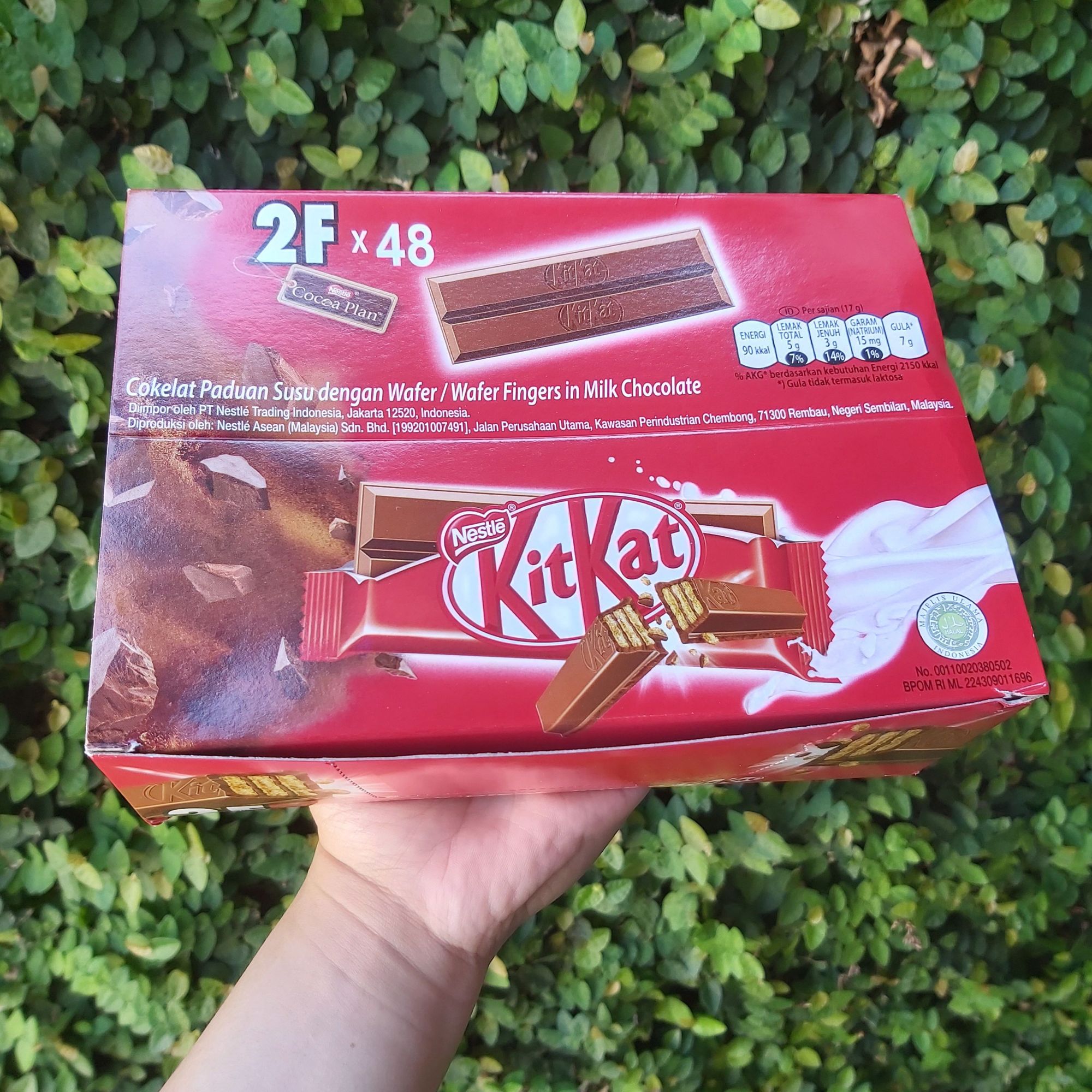 NESTLE kitkat 2F Cokelat halal kitkat coklat 2 finger 1 DUS ISI 48 ...