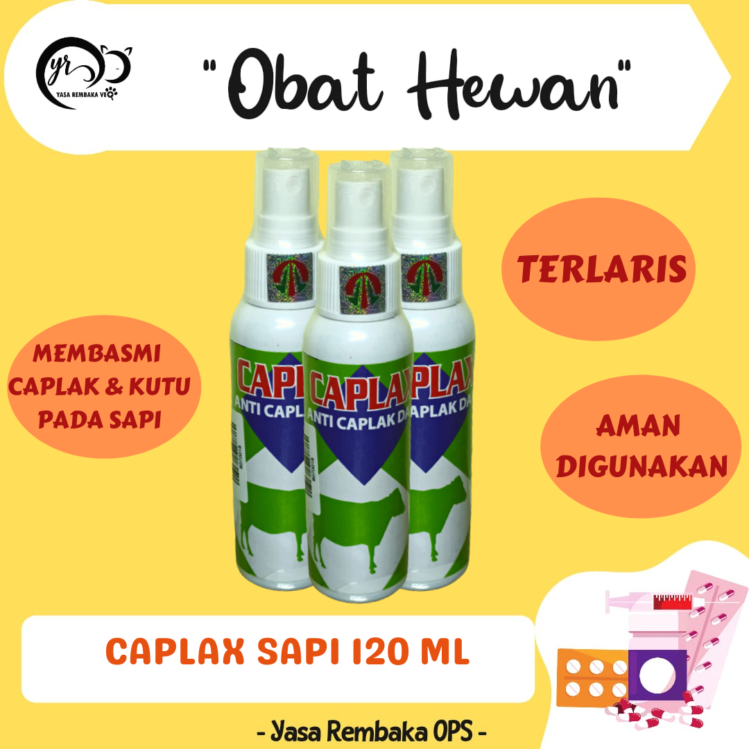 CAPLAX SAPI (Spray) 120 ml - Obat Anti Caplax dan Kutu Sapi | Lazada ...