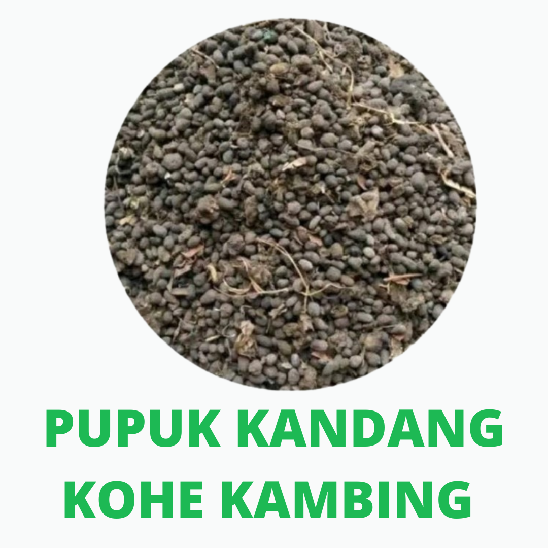 PUPUK KANDANG KOHE KAMBING 500 GRAM PUPUK ORGANIK HUMUS TANAMAN ...