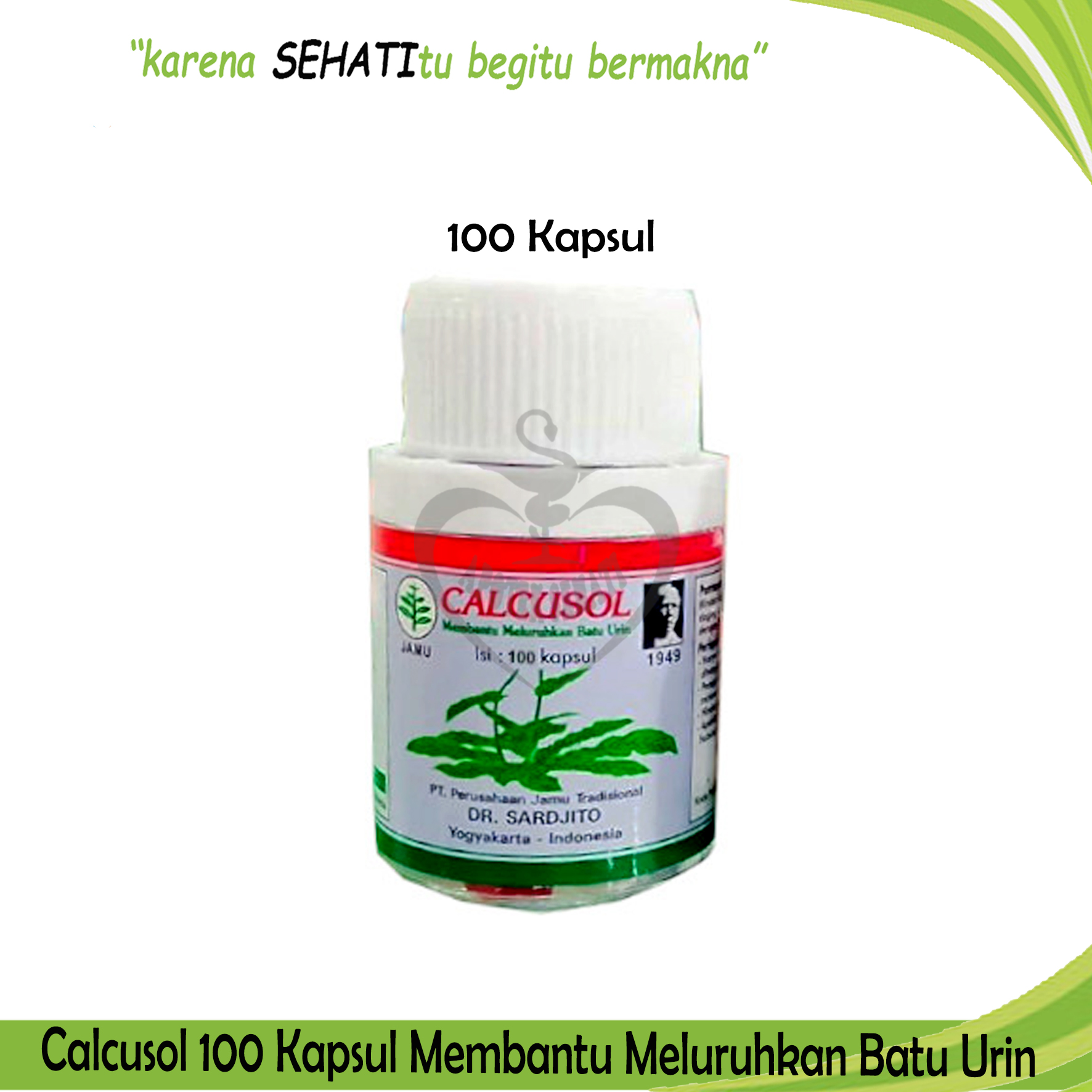 CALCUSOL 30 KAPSUL PELURUH BATU GINJAL | Lazada Indonesia