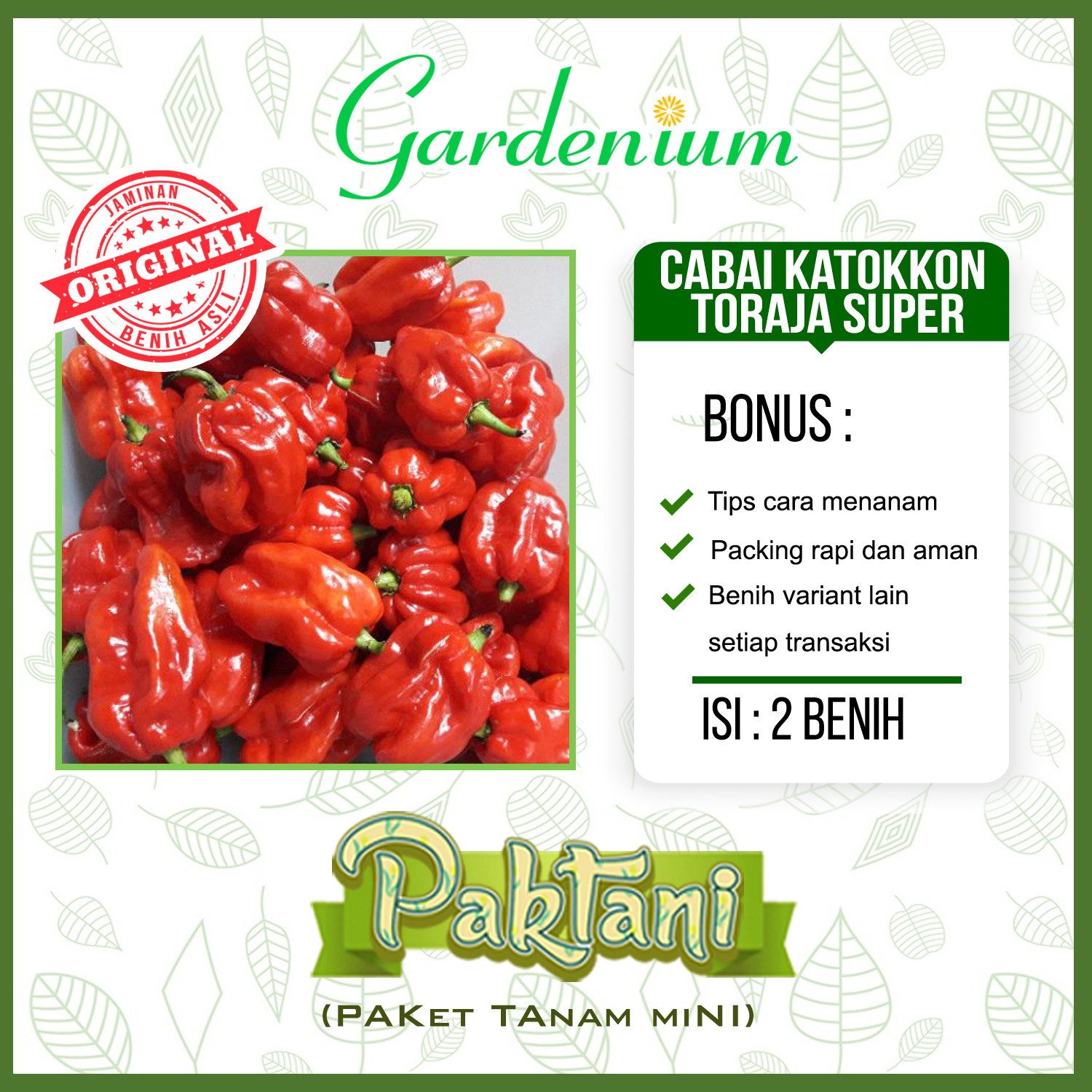 2 Benih Cabai Katokkon Toraja Super Cabe Pedas Paktani | Lazada Indonesia