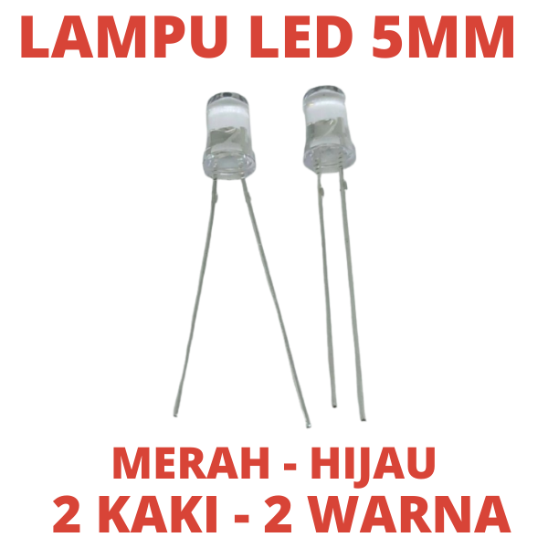 LAMPU LED 5MM 2 KAKI 2 WARNA (paket 100 BIJI) DIODA DIODE BLINKING RGB BERUBAH WARNA 5 MM 5 MILI ...