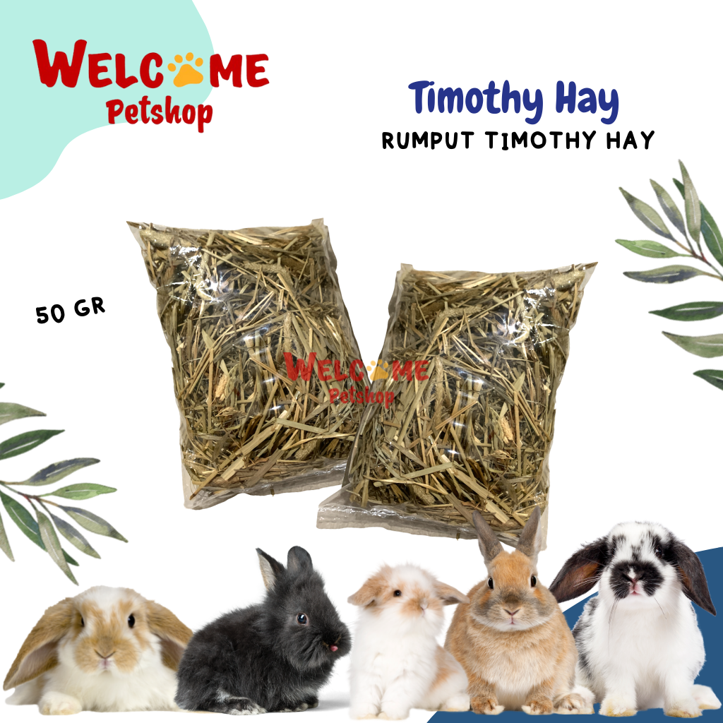 Timothy Hay 50g Kelinci Marmut Chinchilla Rumput Makanan Snack | Lazada ...