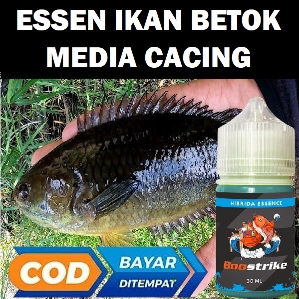 ESSEN IKAN BETOK MEDIA CACING PALING JITU ISI 30ML | BOOSTRIKE HIBRIDA ...