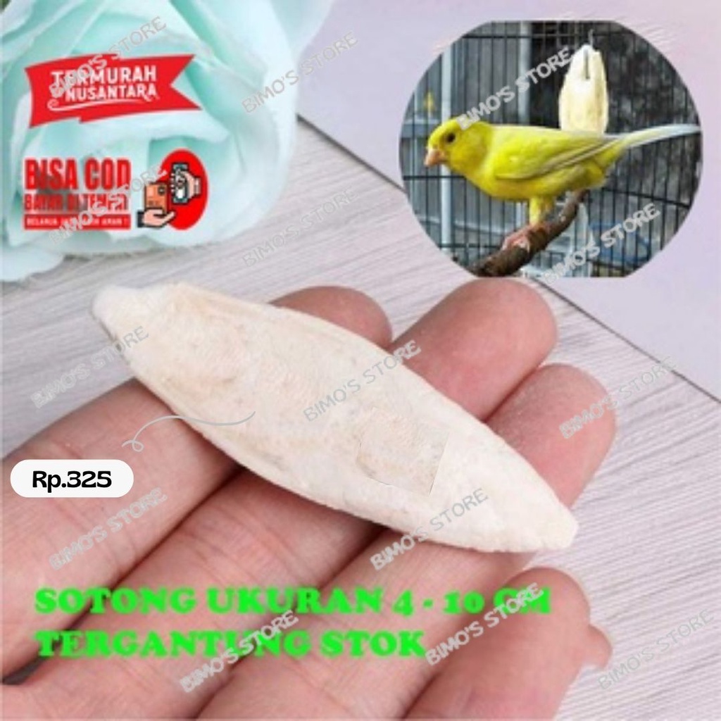 (3 BIJI) SOTONG PAKAN BURUNG MINI ASINAN BURUNG PERKUTUT KENARI ...