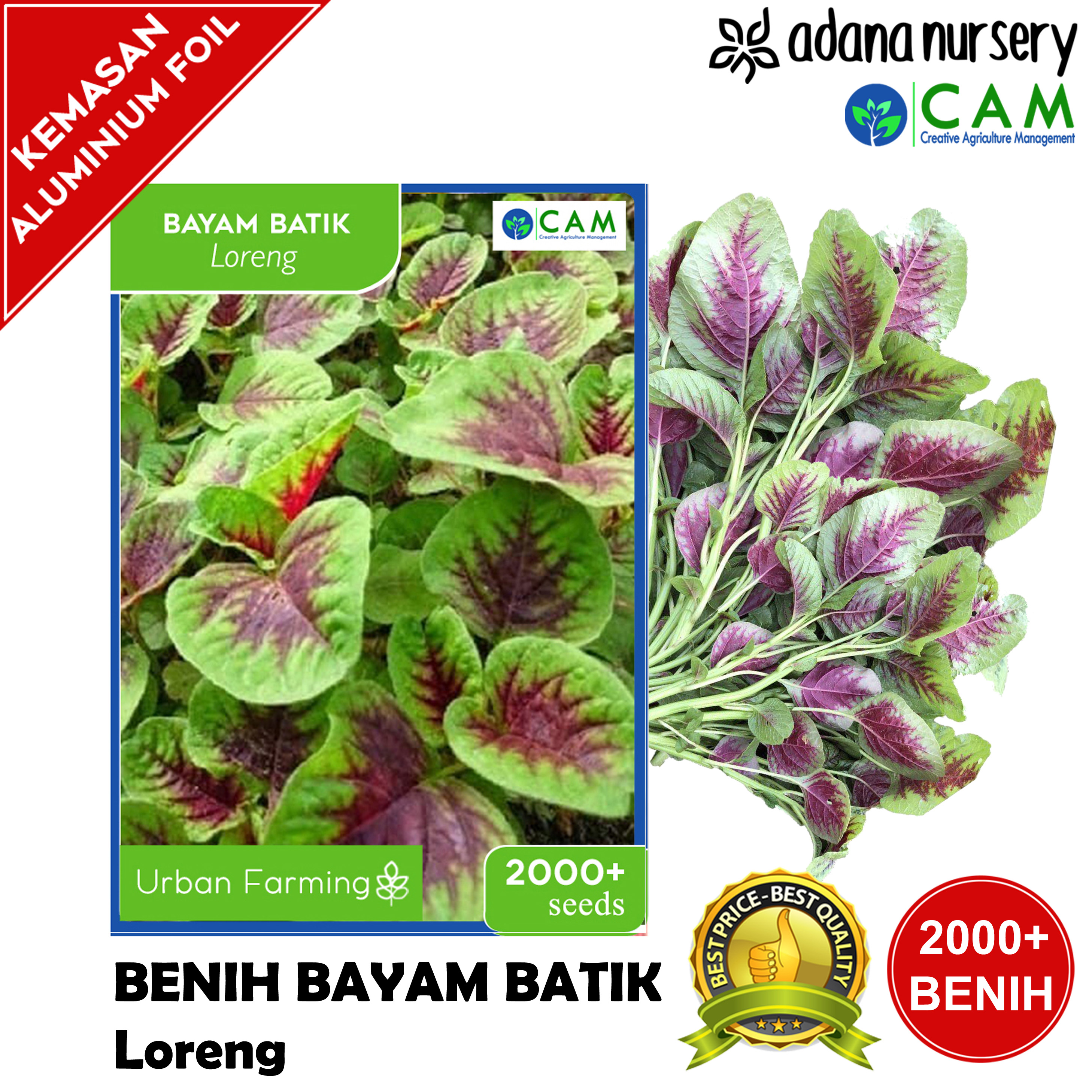 Benih / Biji Bayam Batik Bayam Loreng - Repack 2000+ Seeds | Lazada ...