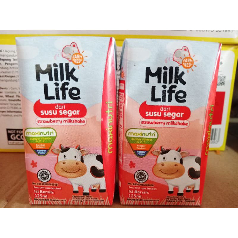 Milk Life Susu UHT 115 ml Rasa Coklat dan Strawberry susu enak dan ...