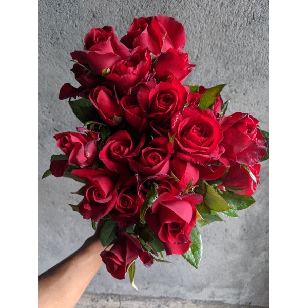 Bunga Mawar Merah 20 biji Bunga Potong Segar | Lazada Indonesia