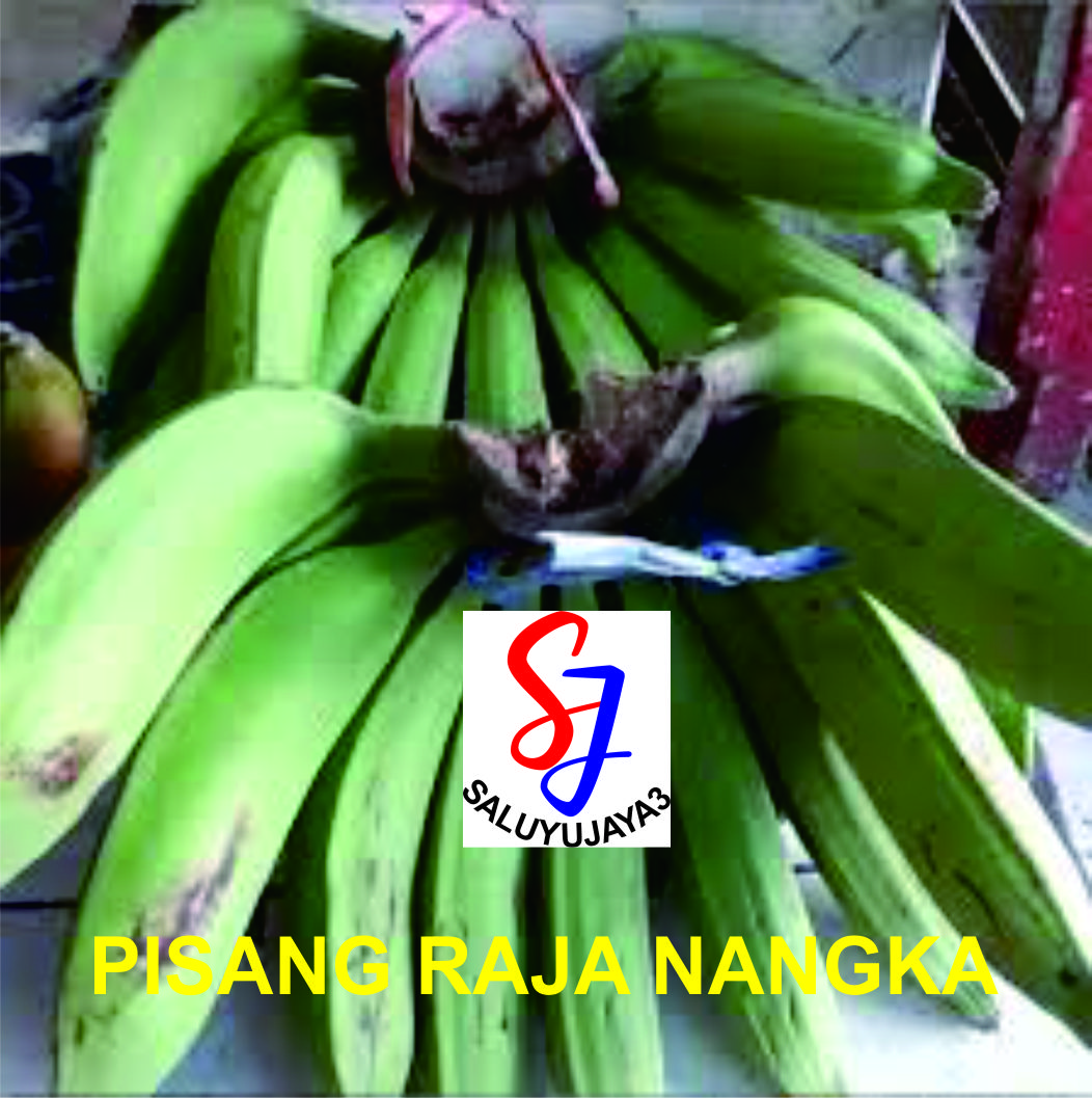 PISANG RAJA NANGKA / 1kg | Lazada Indonesia