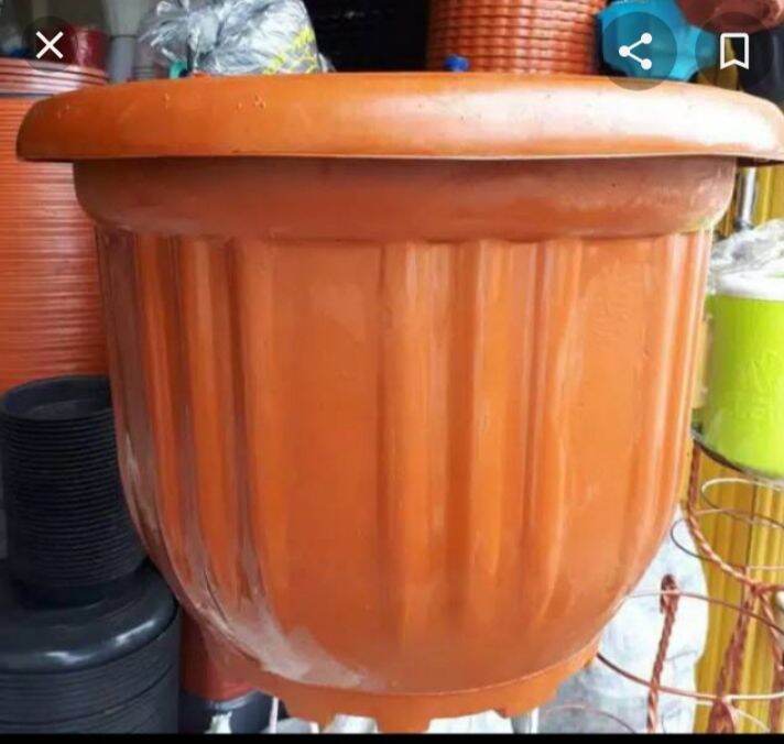 pot tanaman buah gloria ukuran 50 cm warna merah bata / pot untuk pohon ...