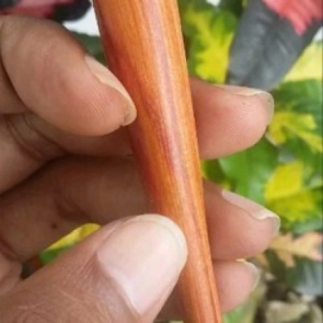 Pipa Cangklong Rokok Kayu Cendana India Wangi Aroma Harum yang Khas ...