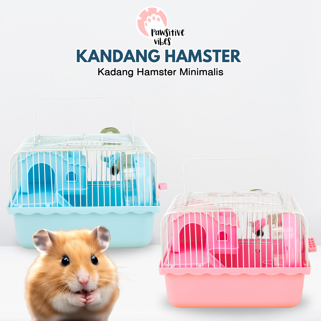 Kandang Hamster MINIMALIS Unik Komplit - Kandang Hamster Sigar Glider ...