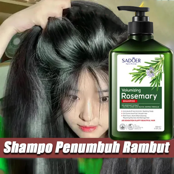 500ML sampo anti rambut rontok Rosemary Hair Growth Shampooshampo ...