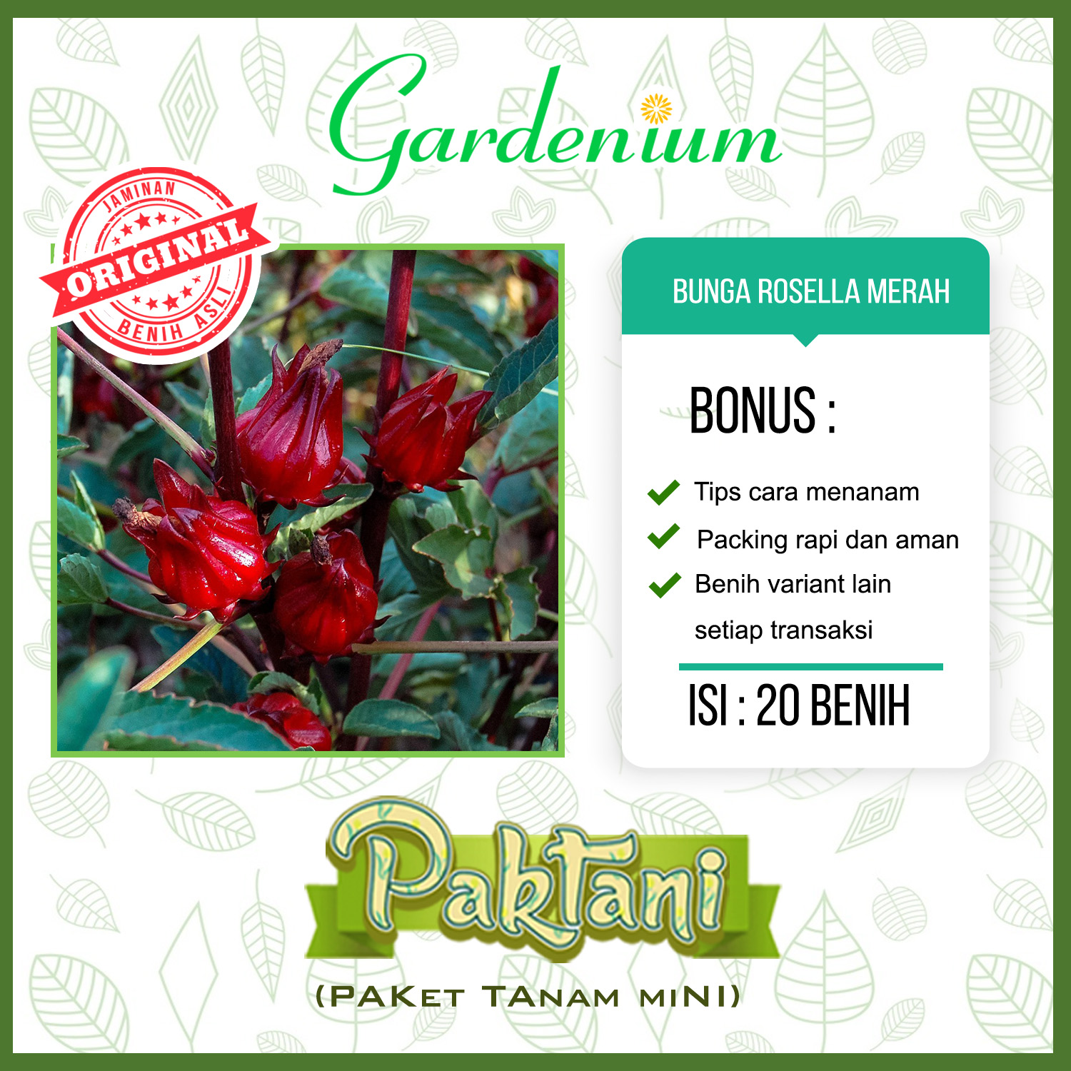 20 Benih Bunga Rosella Merah Red Roselle Rosela Tanaman Herbal Unggul ...