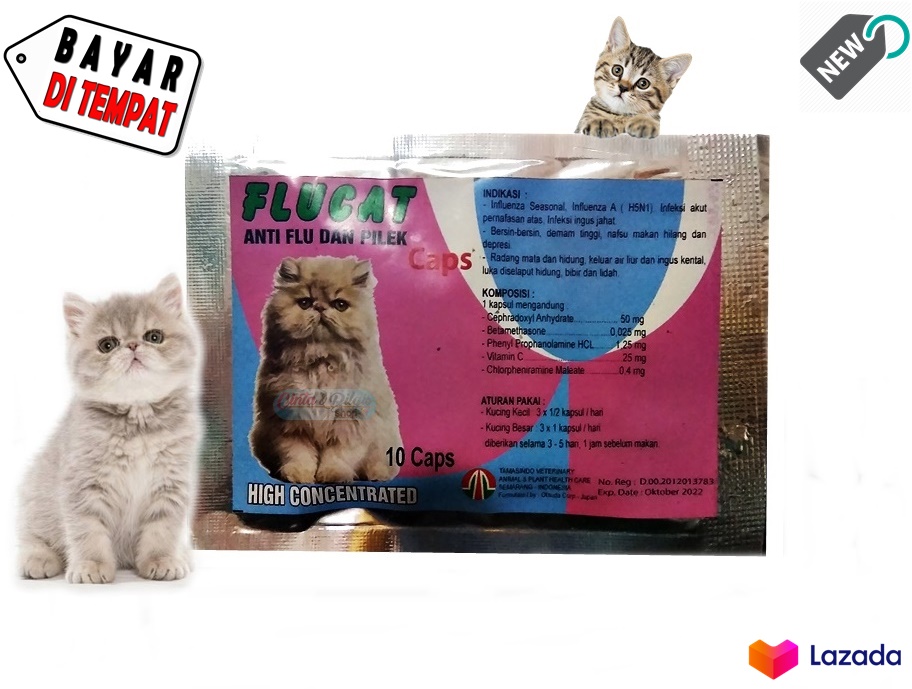 OBAT KUCING FLUCAT PILEK FLU CAT KUCING INGUSAN FLUCAT - KEMASAN ISI 10 ...