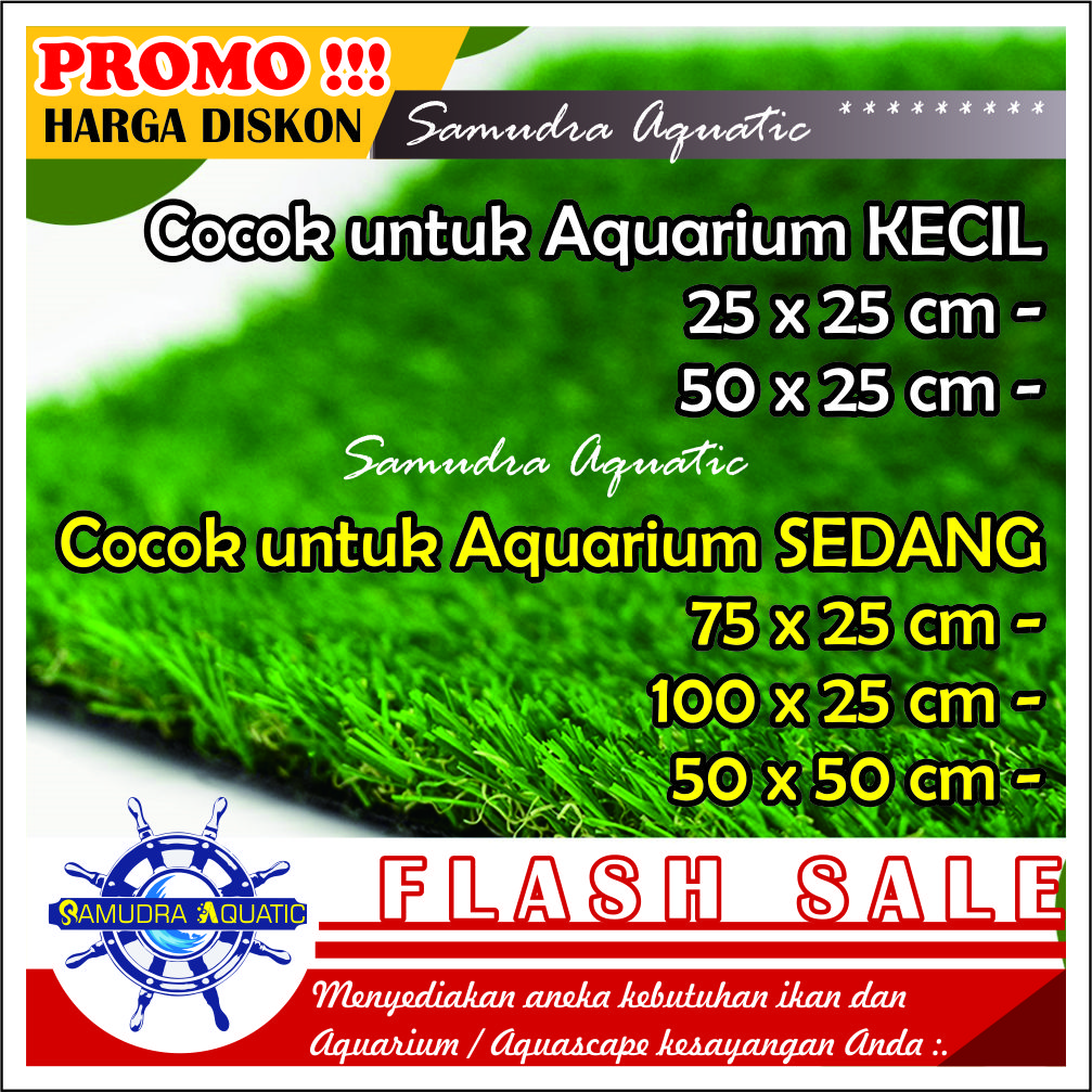 Rumput Aquarium Aquascape Sintesis (Cocok Untuk AQUARIUM SEDANG ...