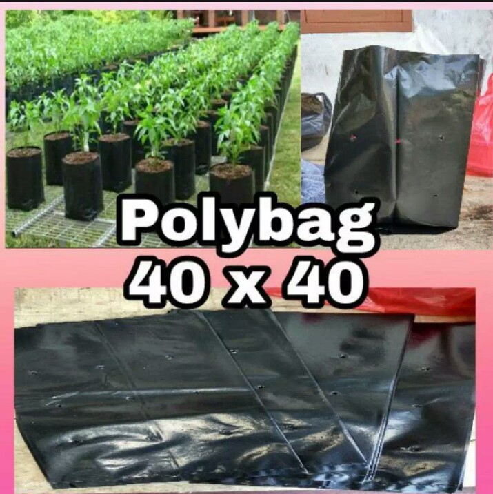 polibag tanaman ukuran 40x40 cm berat 1 kg / polybag tanaman berat 1 kg ...