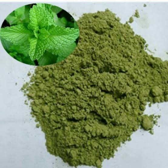 teh daun mint menthol bubuk serbuk powder lokal 1kg 1 kg | Lazada Indonesia