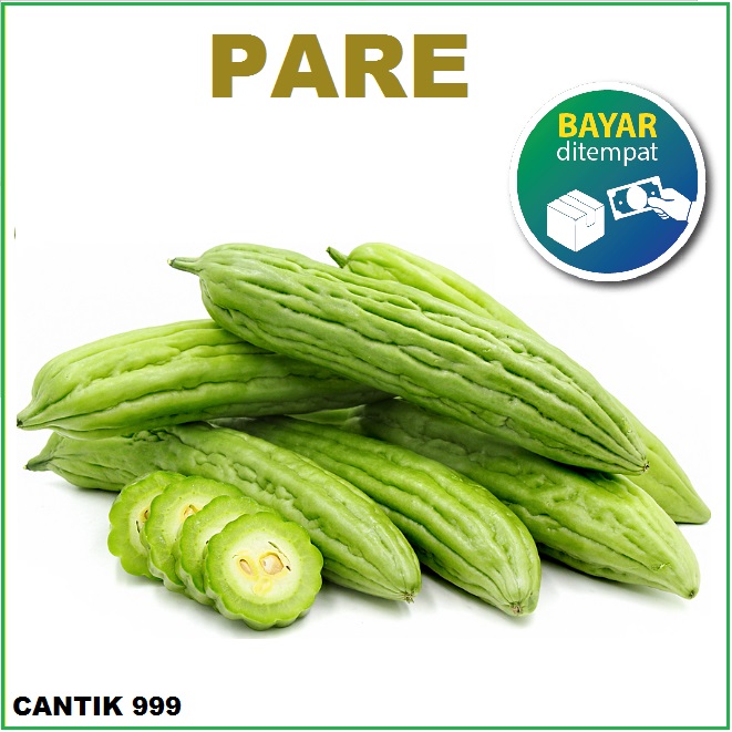 PARE - 1 pcs biji / bibit / benih PARE F1 ( BIBIT UNGGUL ) seed sayur ...