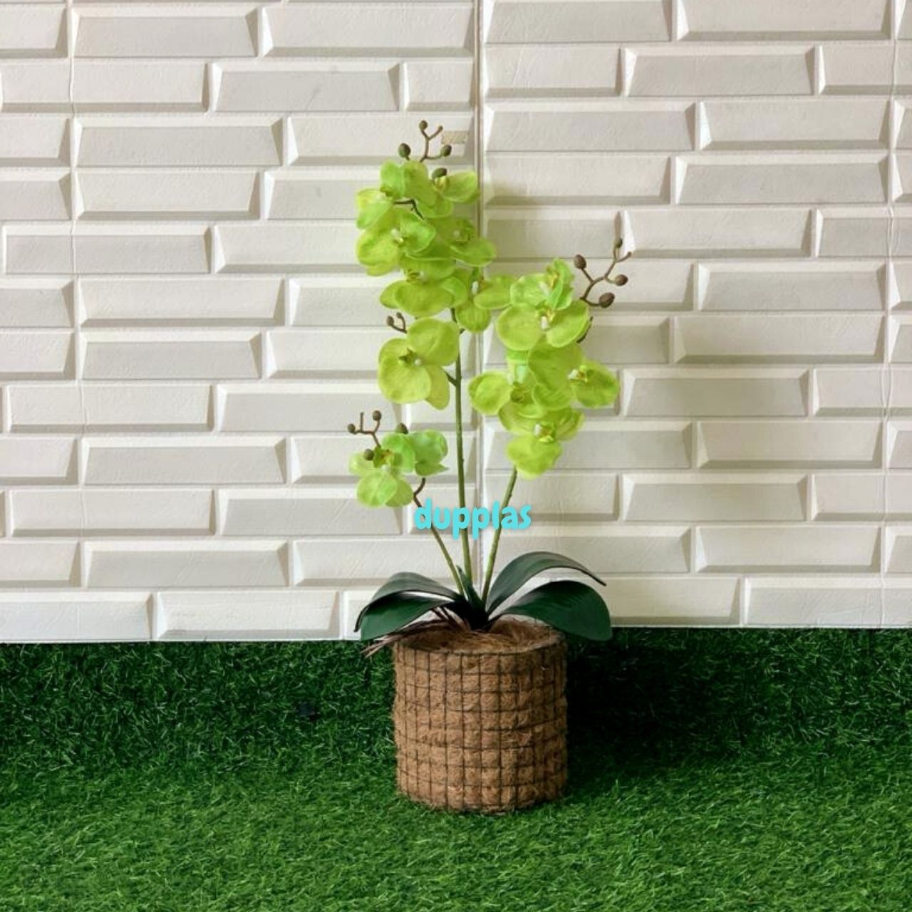 Bunga Anggrek Latex Artificial Vas Sabut Serat Kelapa Tanaman Plastik ...